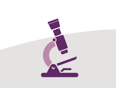 Inicio | Citem Chile