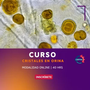 Cursos CITEM | Citem Chile