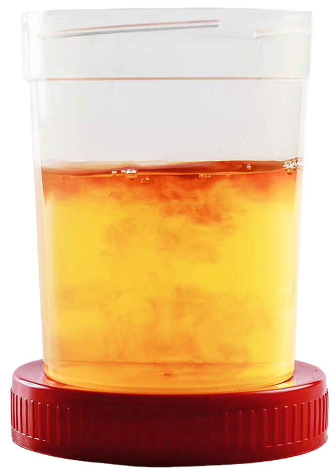 congreso-internacional-uroanalisis | Citem Chile